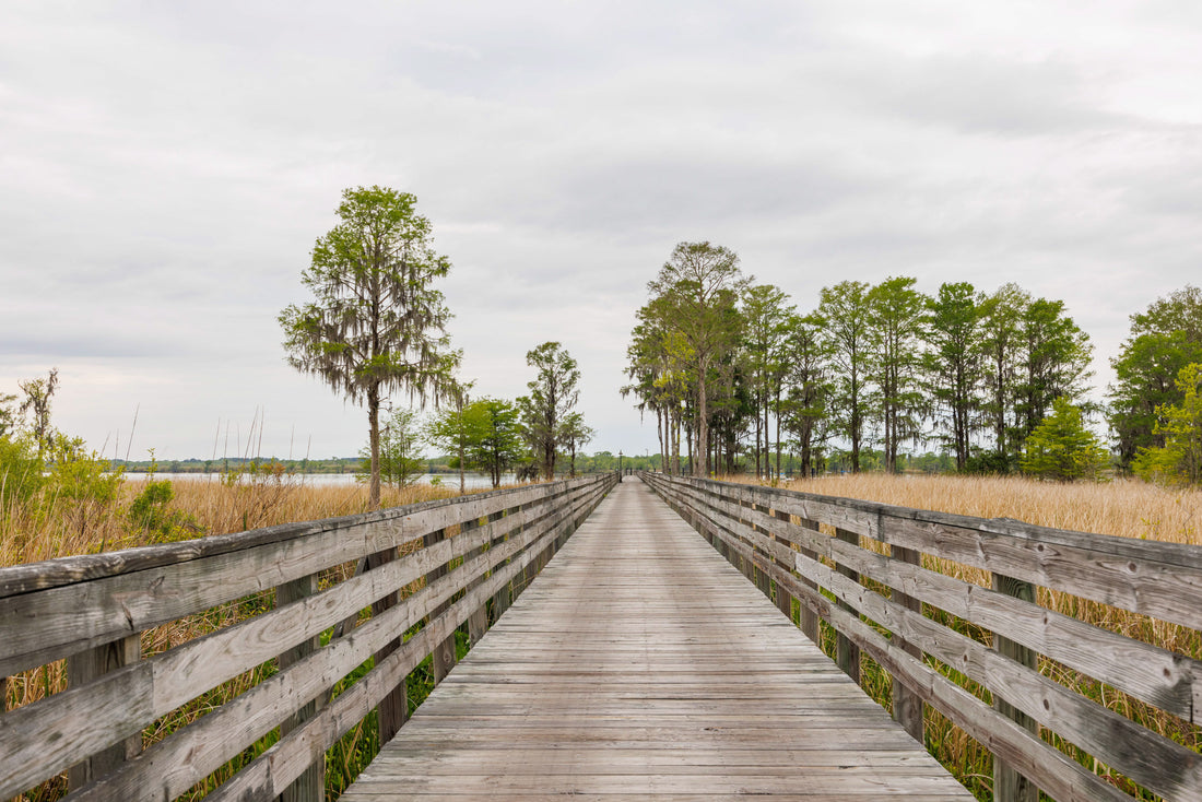 Real Estate Sales | Inlet Point